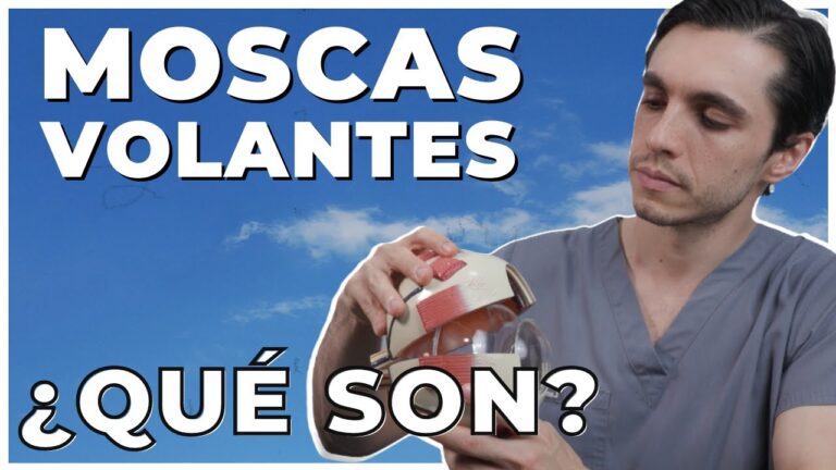 ¿Qué Significan las Manchas Negras que se Mueven en tu Visión? Causas y ...