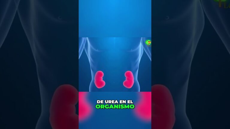 Olor a Acetona en la Orina: Causas, Síntomas y Tratamientos - Tu Salud ...