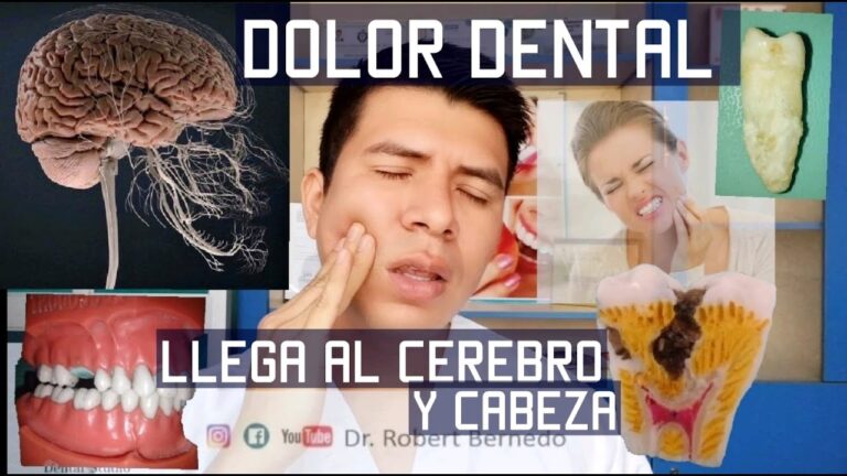 ¿Por Qué el Dolor de Muelas Puede Afectar Tu Oído y Cabeza? Causas y Soluciones - Tu Salud ...